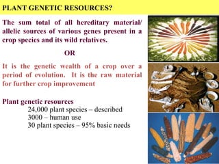 Plant genetic resources their utilization and conservation in crop ...
