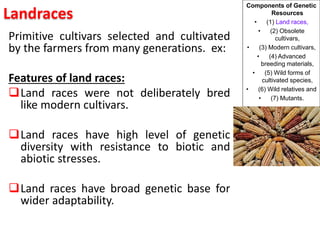 Plant genetic resources their utilization and conservation in crop ...