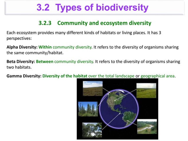 Biodiversity and its conservation | PPT | Geography | Science