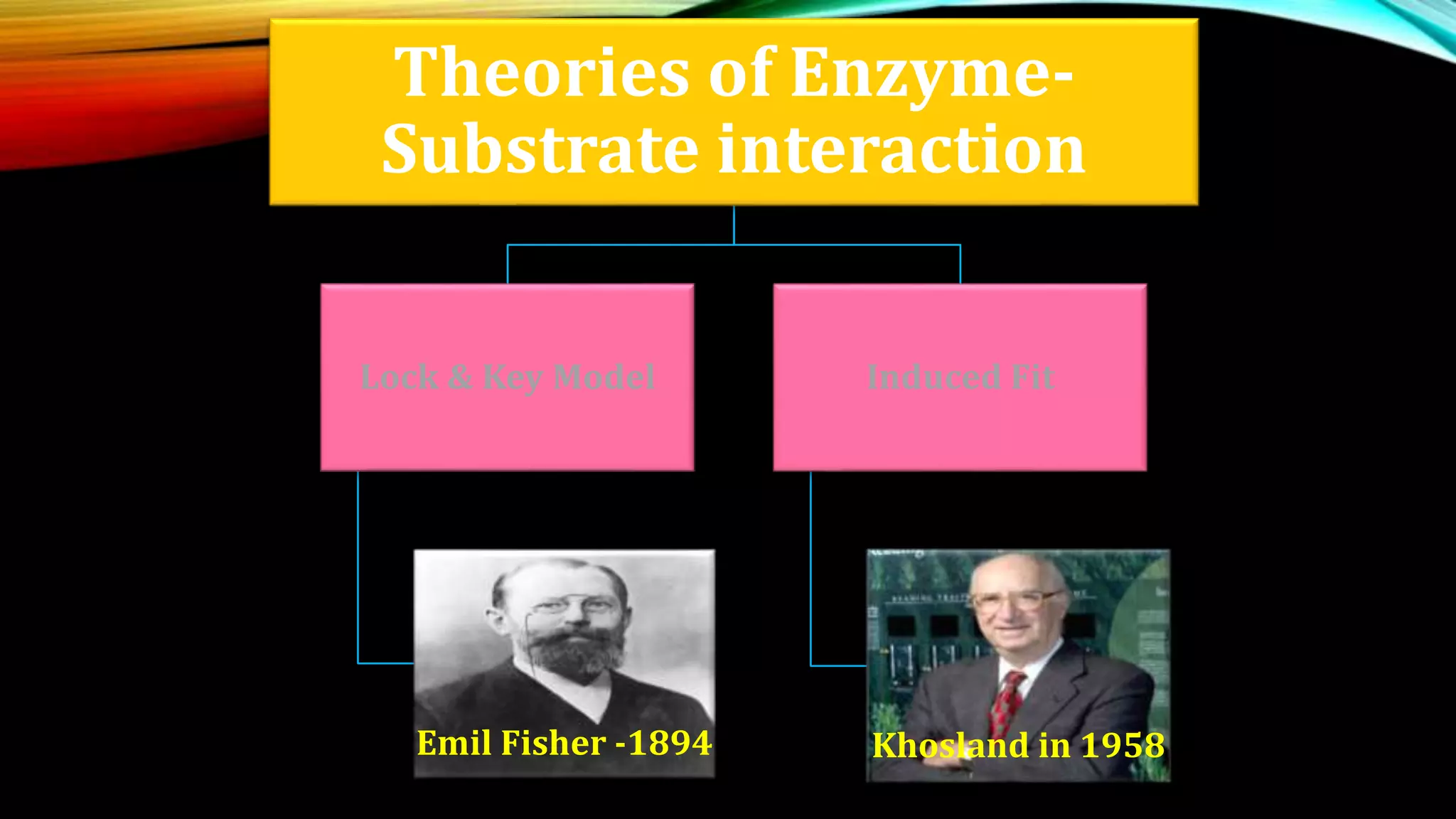 Enzyme mechanism of action & kinetics | PPTX