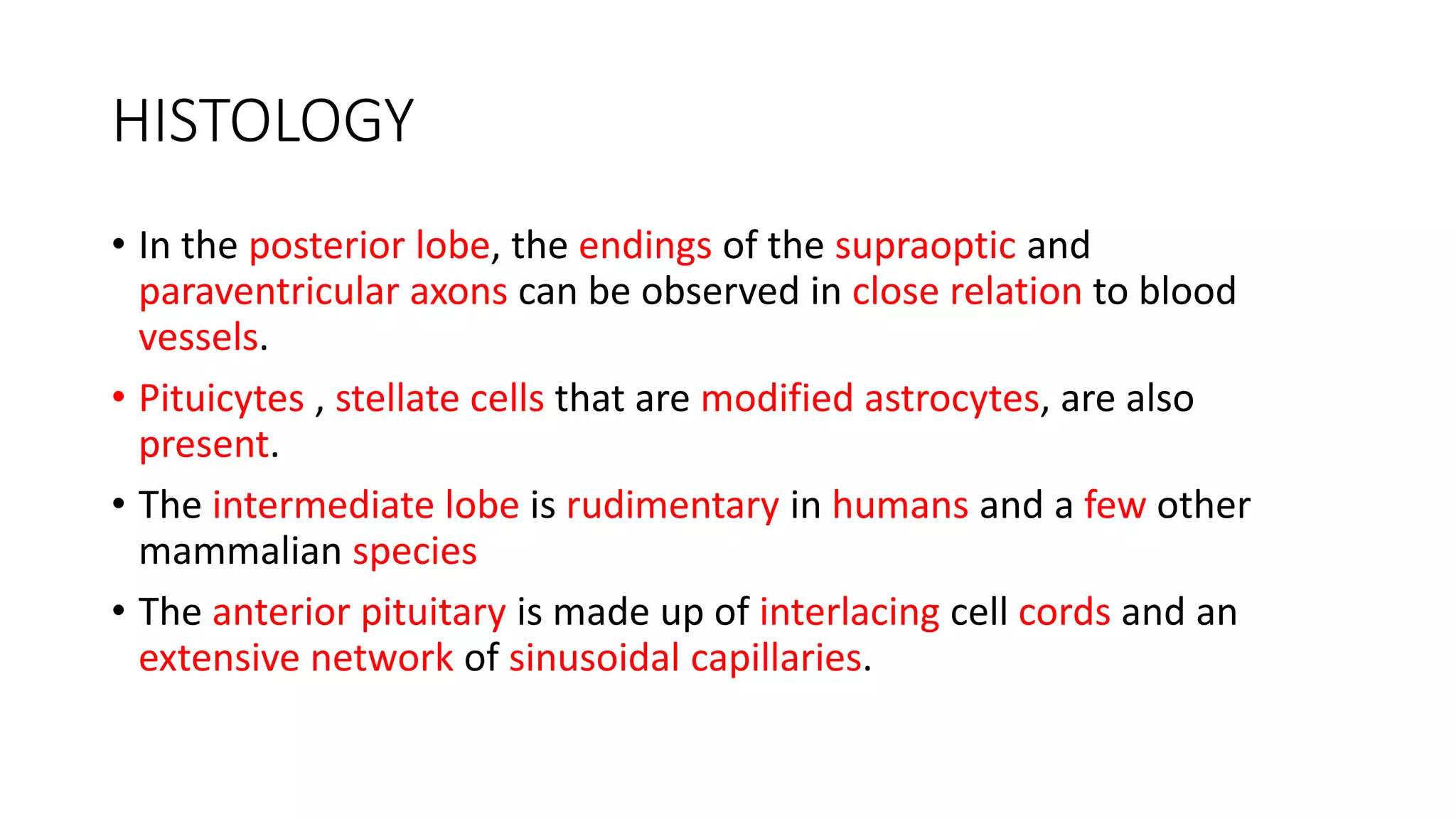 3. the pituitary gland | PPTX
