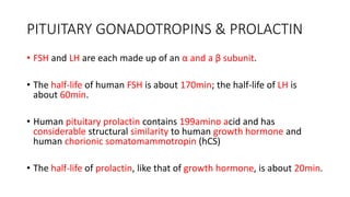 3. the pituitary gland | PPTX
