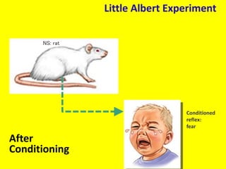 3. core 3 unit 3 pavlov and watson theory | PPT