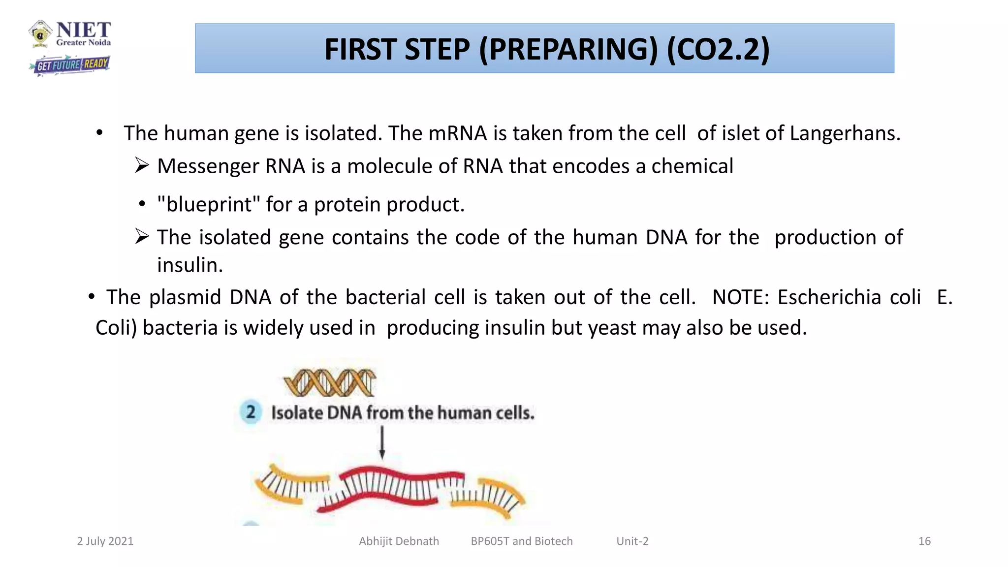 Application of rDNA in the Production of Interferon, Hepatitis Vaccines ...