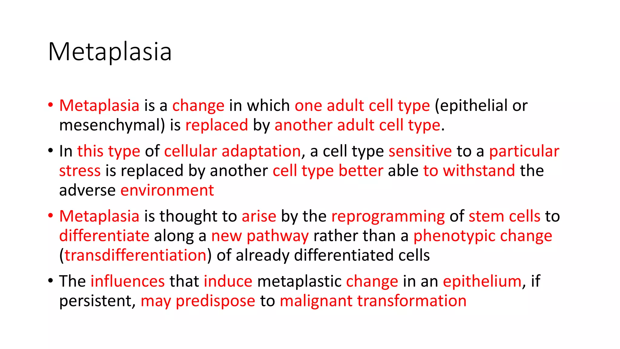 3. cellular adaptations to stress | PPTX