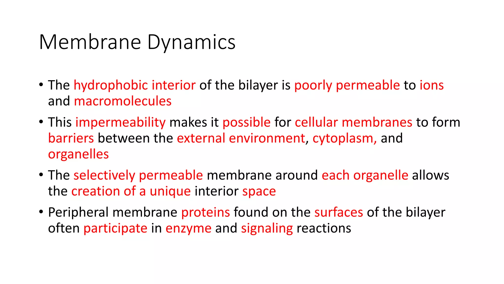 3. cellular organelles and membrane trafficking | PPTX