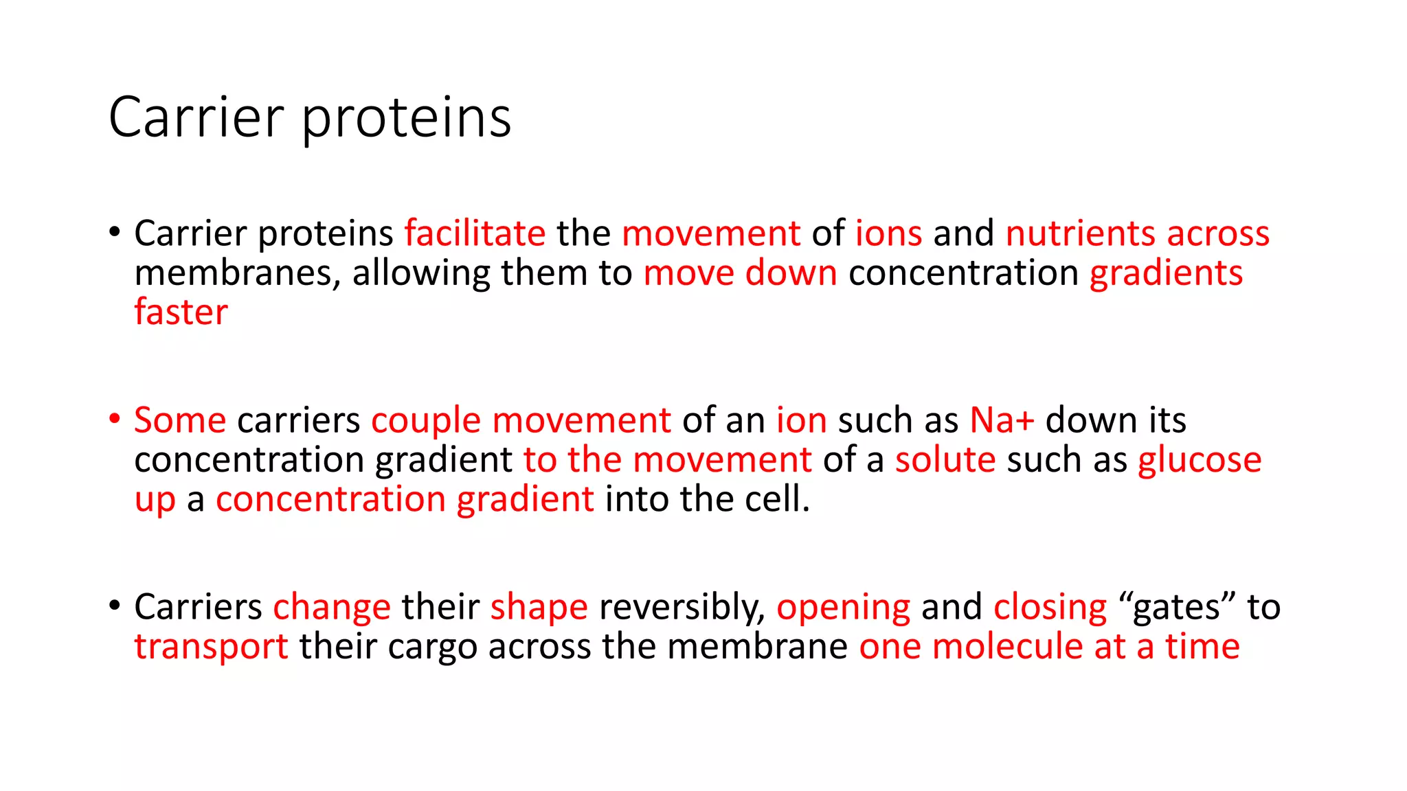 3. cellular organelles and membrane trafficking | PPTX