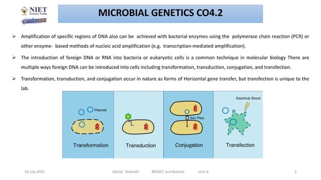 Microbial Genetics: Transformation, Transduction, Conjugation, Plasmids ...