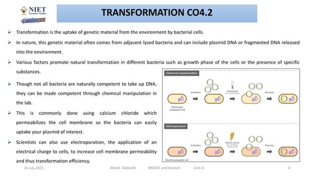 Microbial Genetics: Transformation, Transduction, Conjugation, Plasmids, Transposons | PPTX