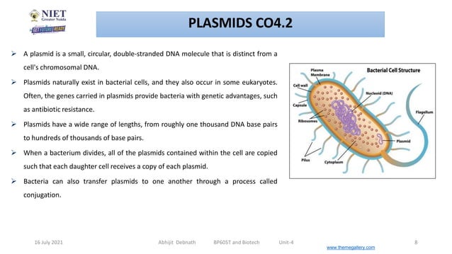 Microbial Genetics: Transformation, Transduction, Conjugation, Plasmids ...