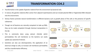 Microbial Genetics: Transformation, Transduction, Conjugation, Plasmids ...