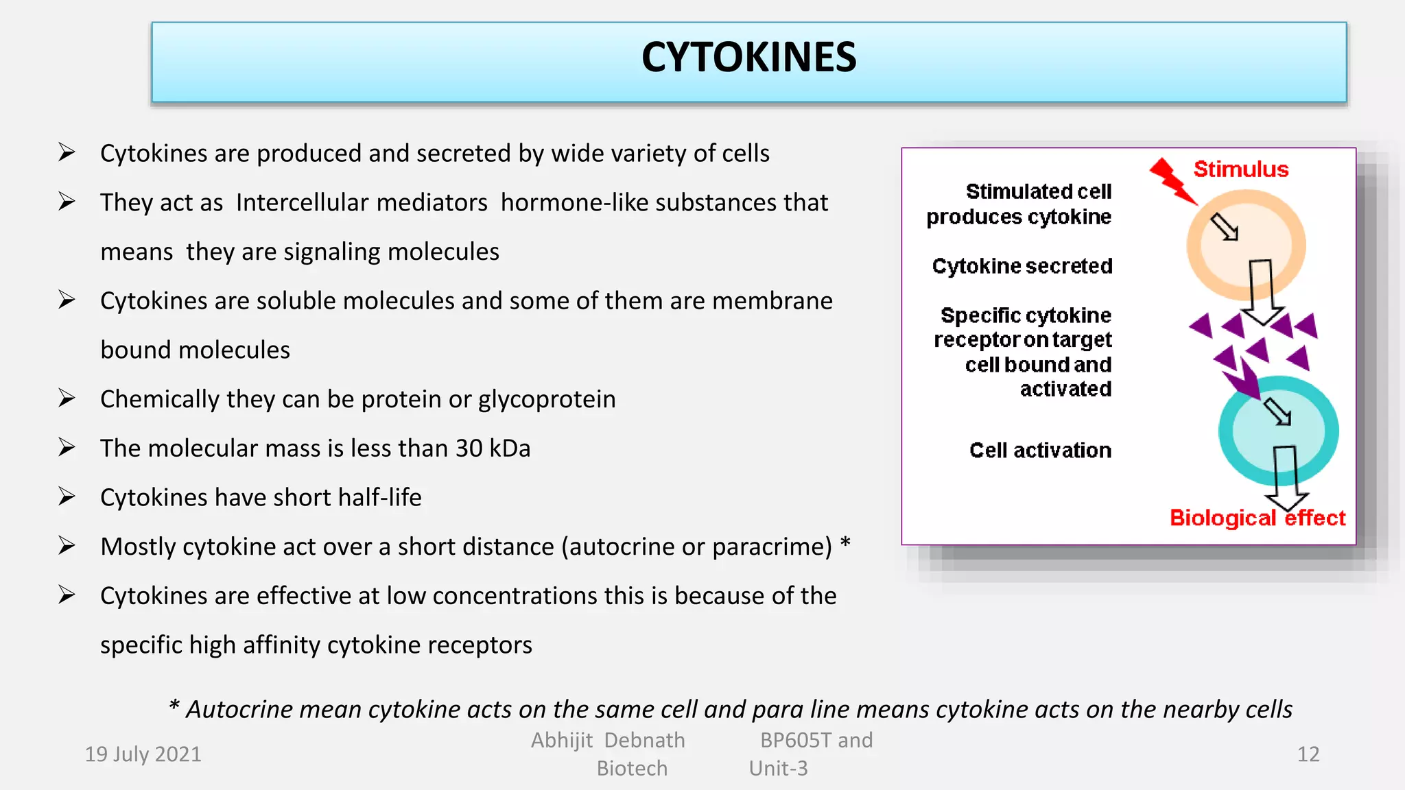 Structure and Function of MHC | PPTX