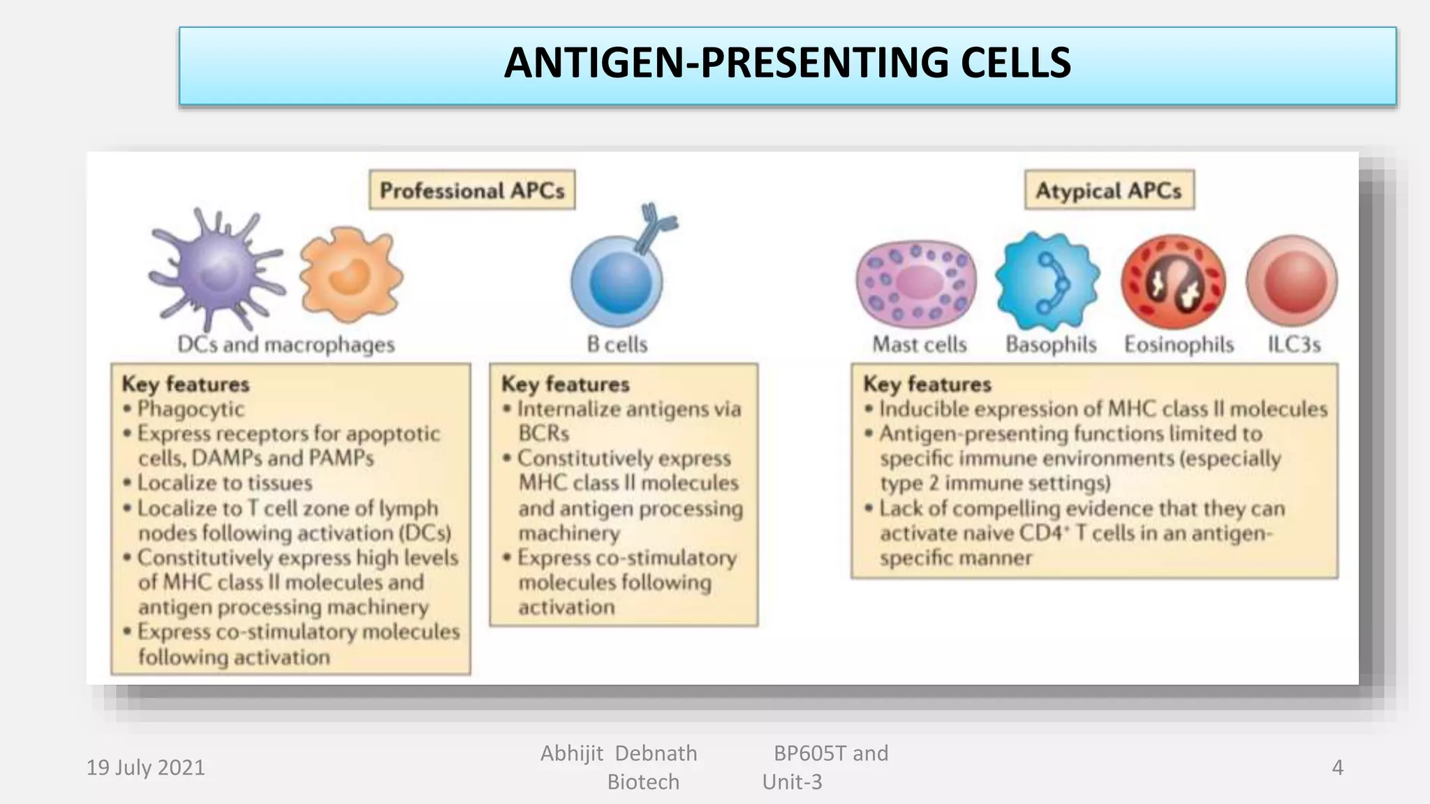 Structure and Function of MHC | PPTX