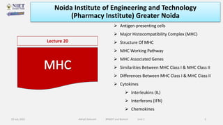 Structure and Function of MHC | PPTX
