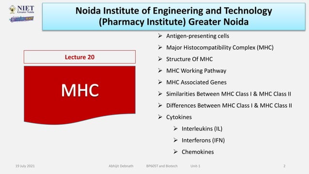 Structure and Function of MHC | PPTX