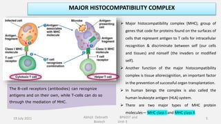Structure and Function of MHC | PPTX