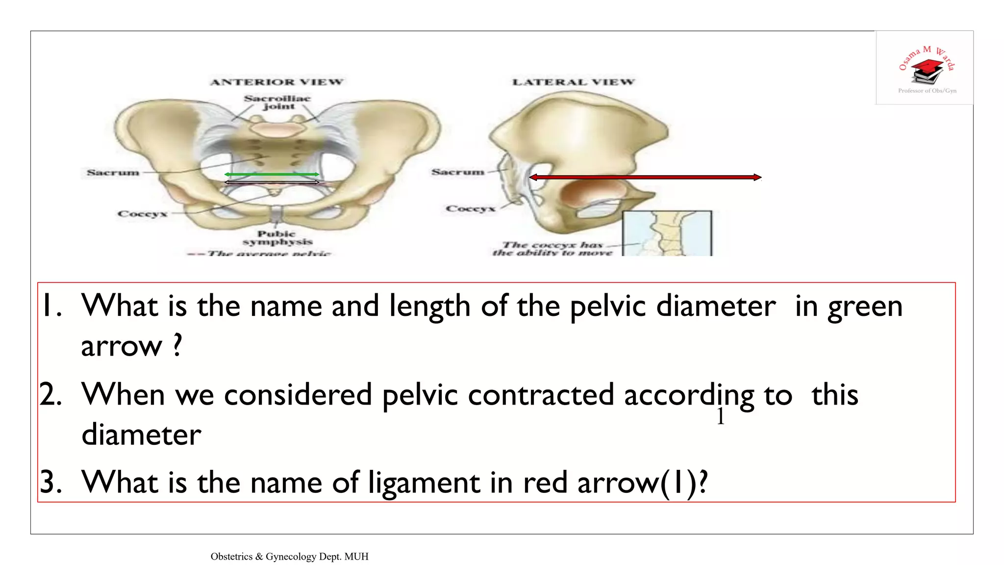 3.OBSTETRICS & GYNECOLOGY OSCE REVISION-3 | PDF