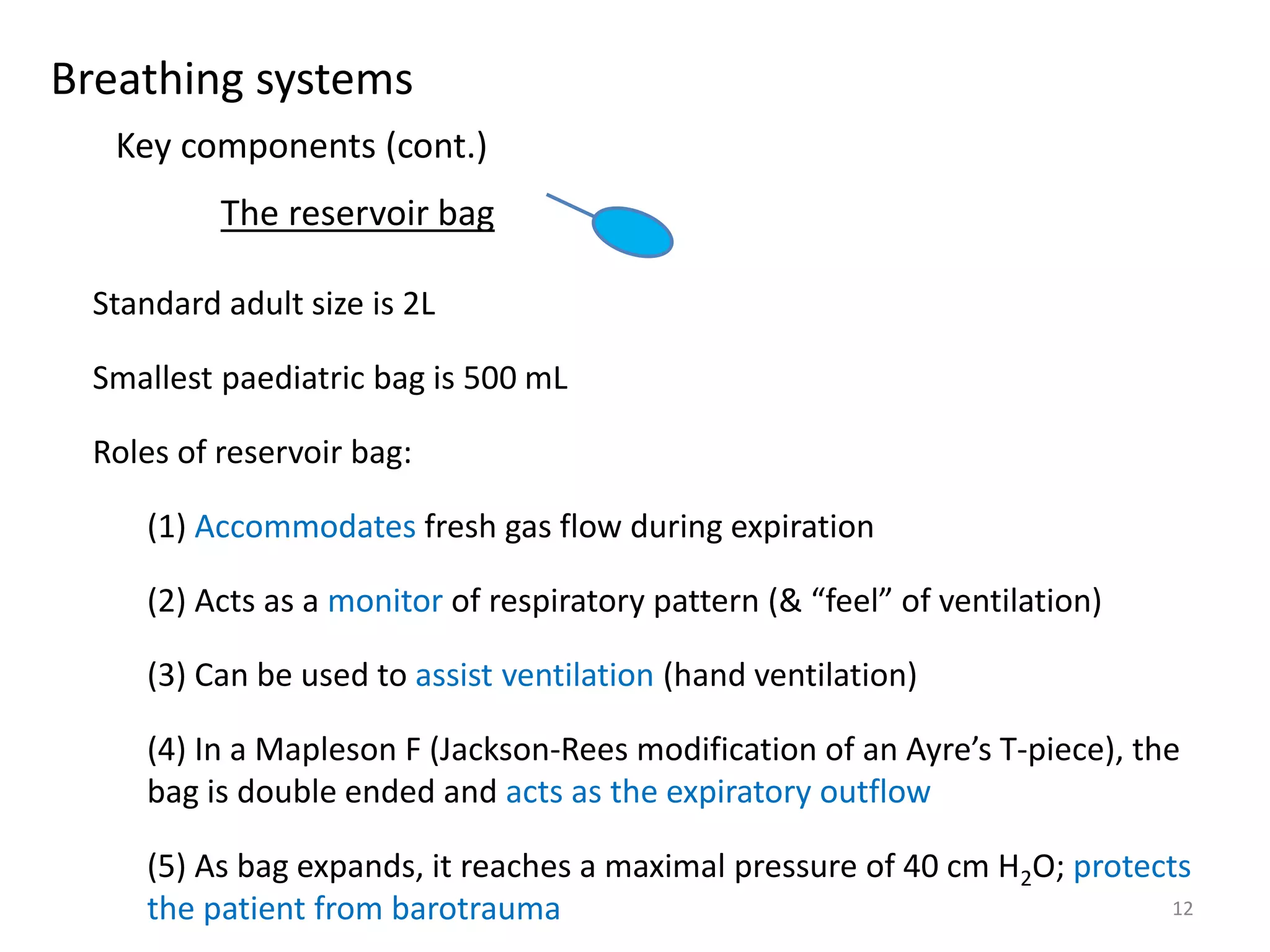 3. breathing system bsc | PPTX