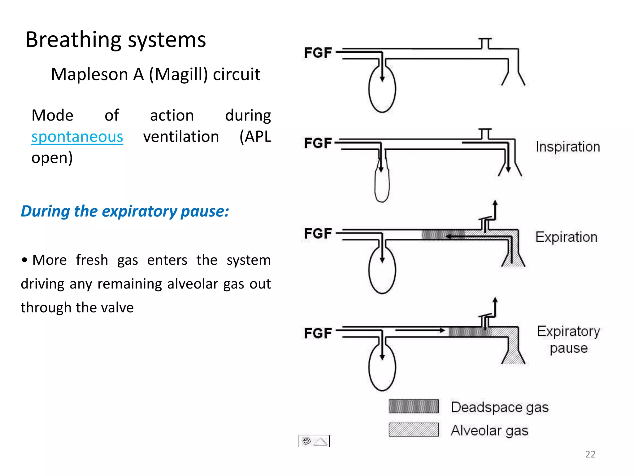 3. breathing system bsc | PPTX