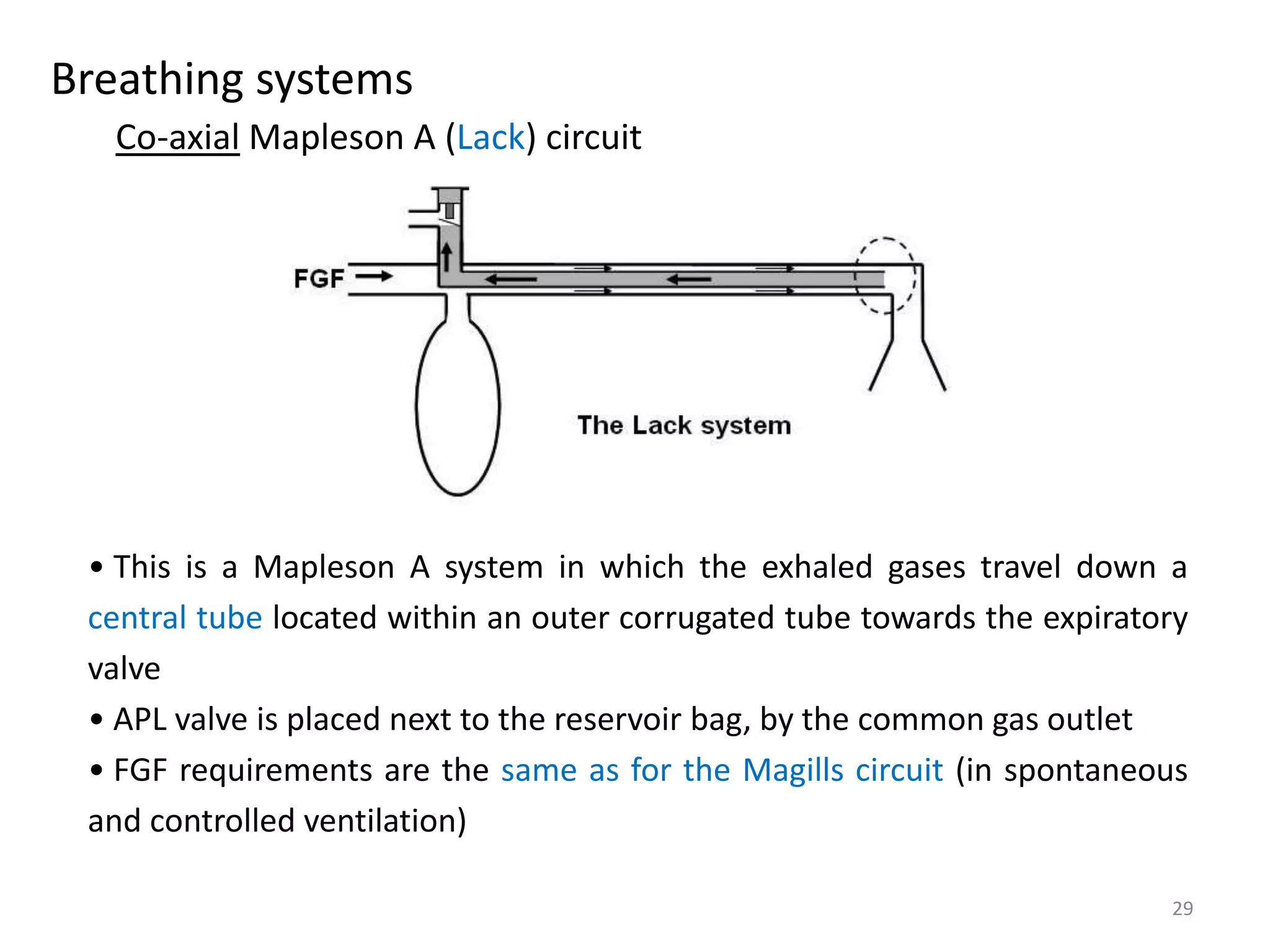 3. breathing system bsc | PPTX