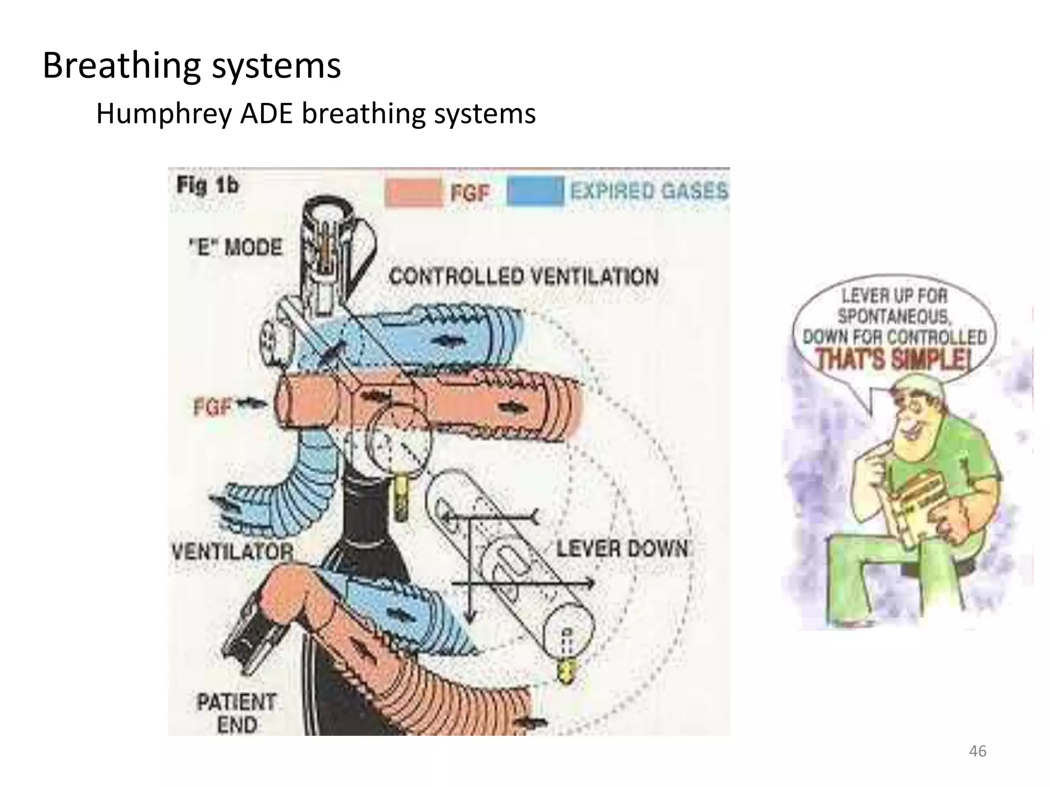 3. breathing system bsc | PPTX