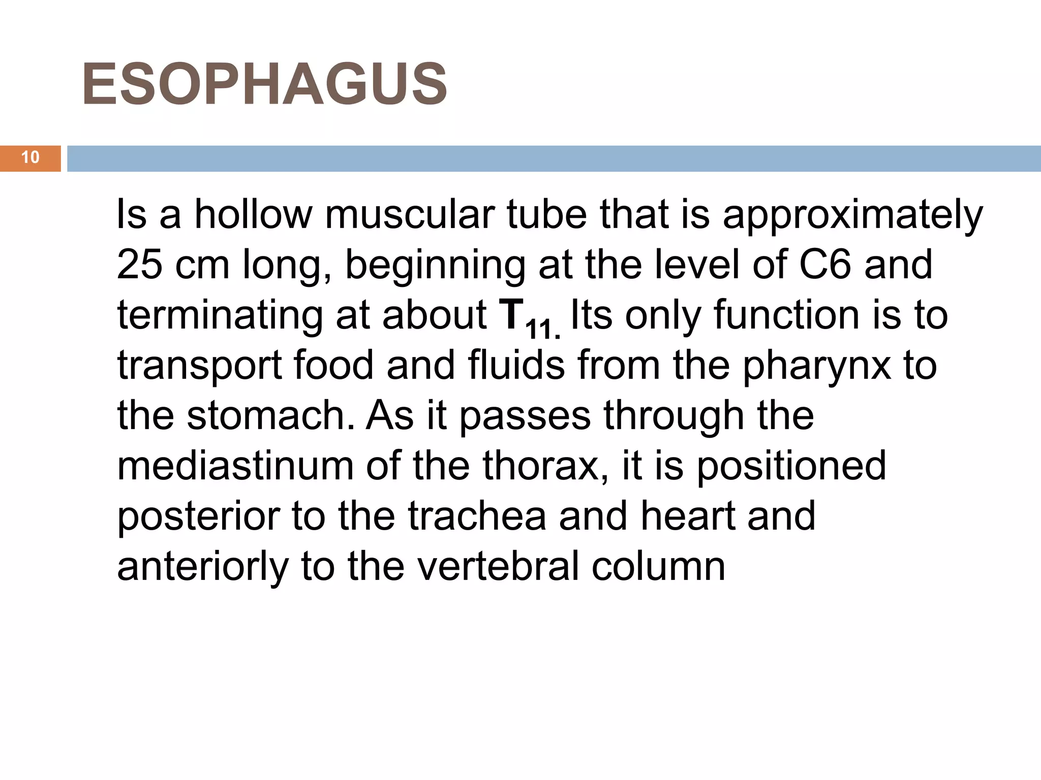3. digestive system special procedure | PPTX