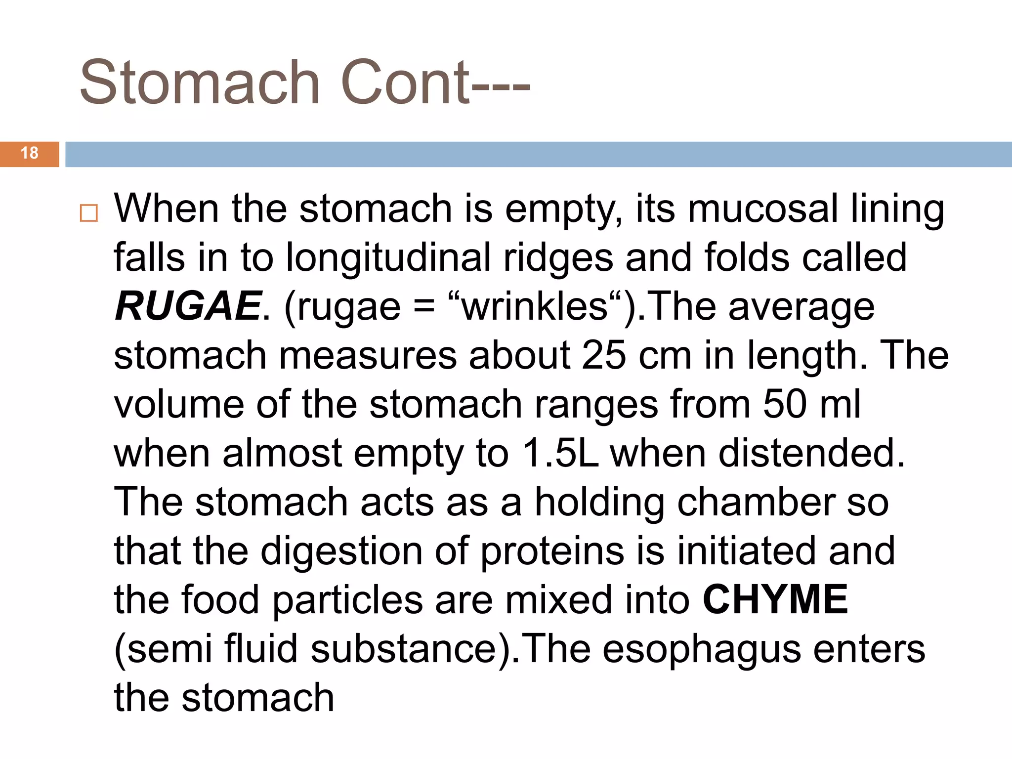 3. digestive system special procedure | PPTX