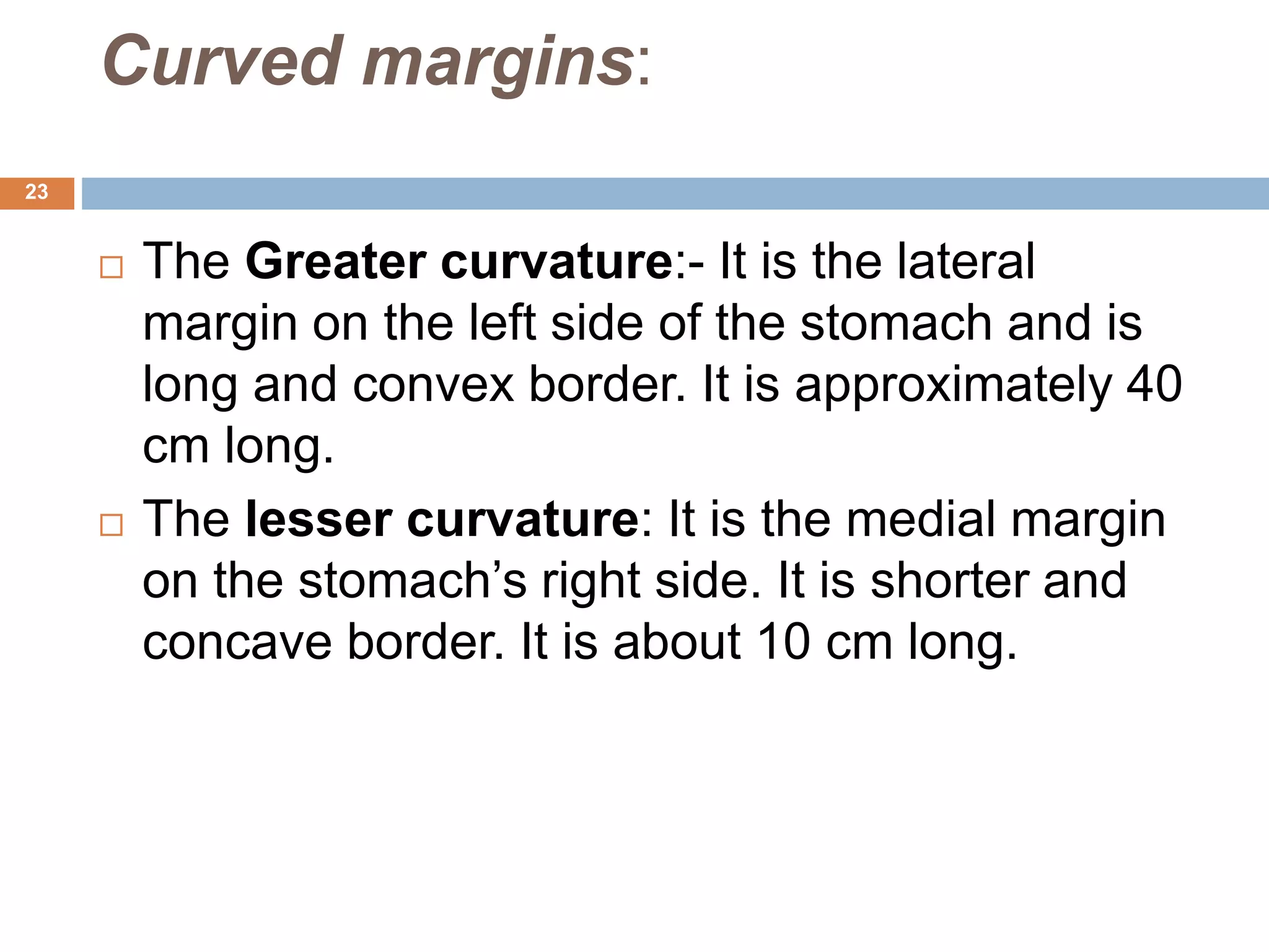3. digestive system special procedure | PPTX