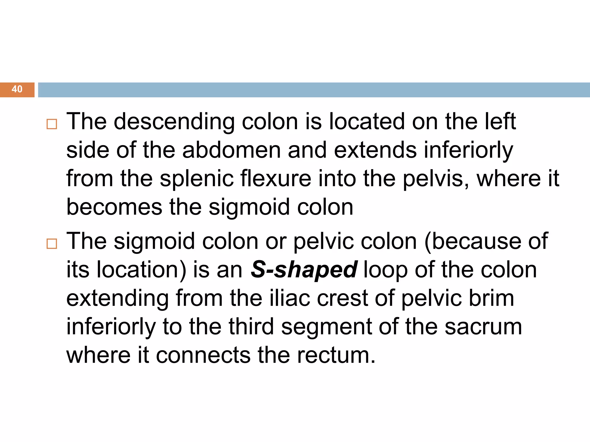 3. digestive system special procedure | PPTX