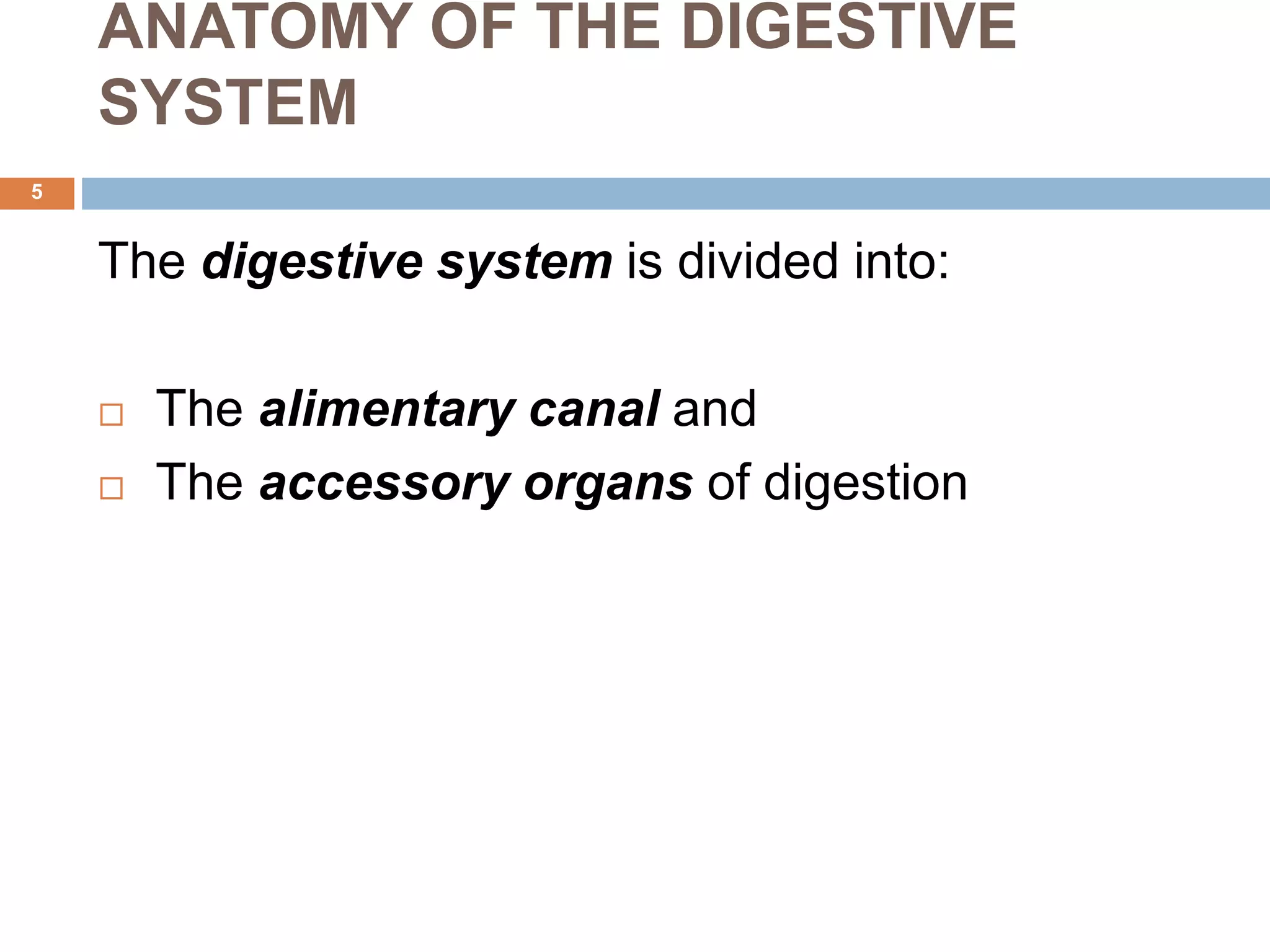 3. digestive system special procedure | PPTX