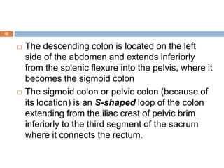 3. digestive system special procedure | PPTX