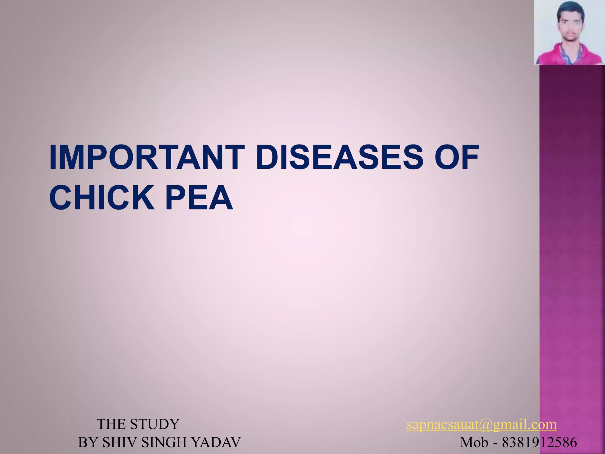3. chickpea ppt 1 | PPTX