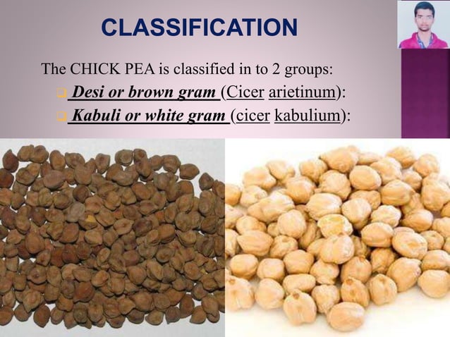 3. chickpea ppt 1 | PPTX | Agriculture | Industries