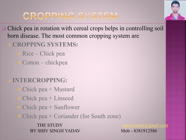 3. chickpea ppt 1 | PPTX | Agriculture | Industries