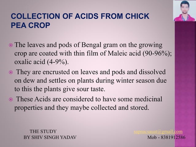 3. chickpea ppt 1 | PPTX | Agriculture | Industries