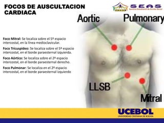 Signos Vitales | PPTX