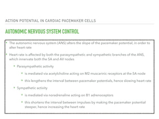 3. cardiac cycle | PDF