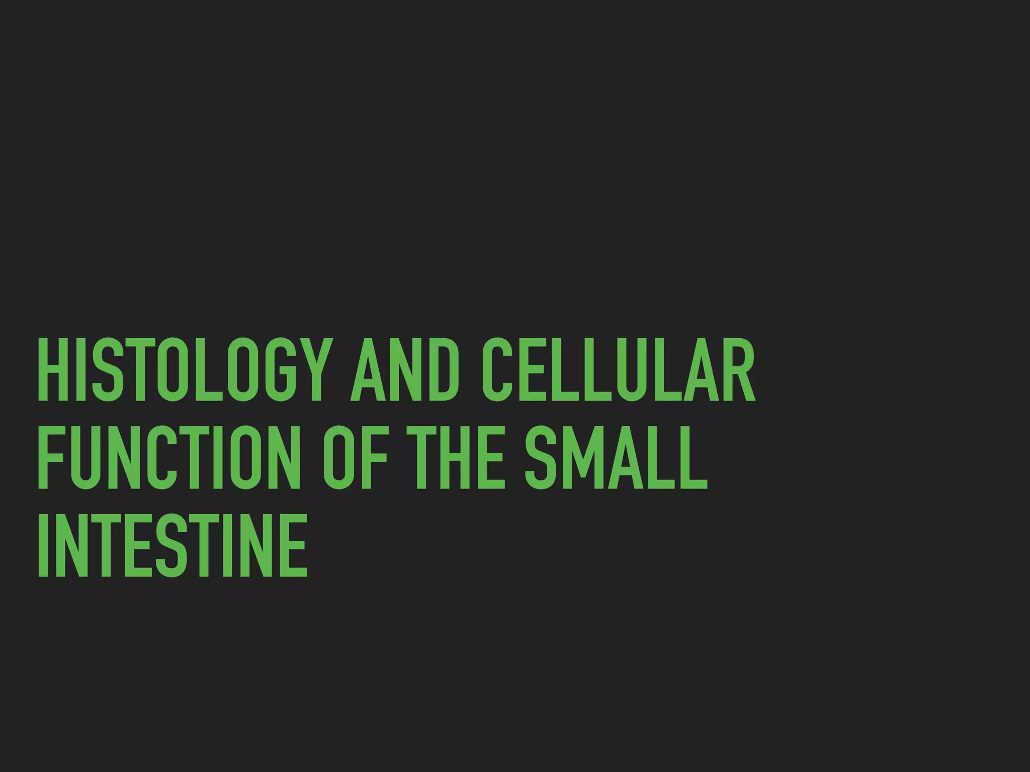 3. the small intestine | PPT