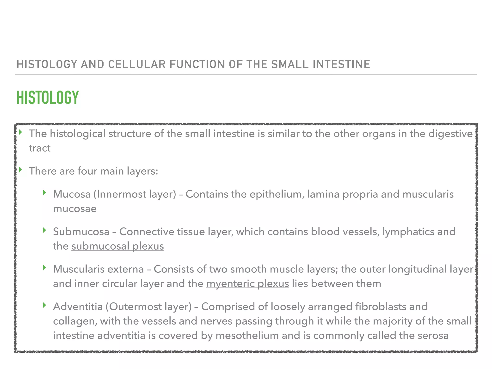3. the small intestine | PPT