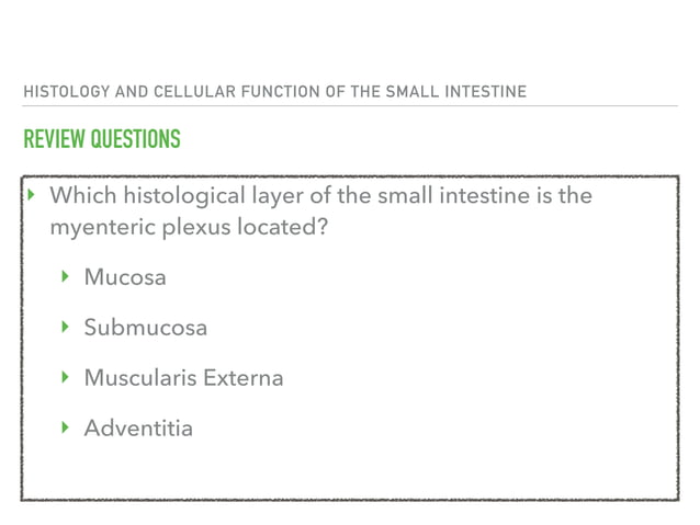 3. the small intestine | PPT