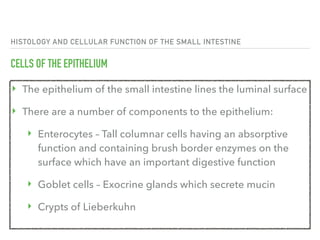 3. the small intestine | PDF