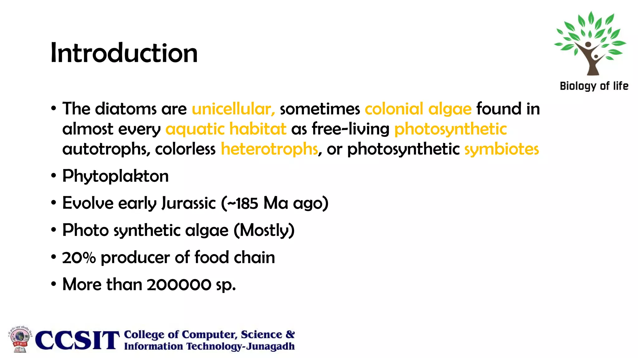 Diatoms, Dinoflagellates, Lichen | PDF