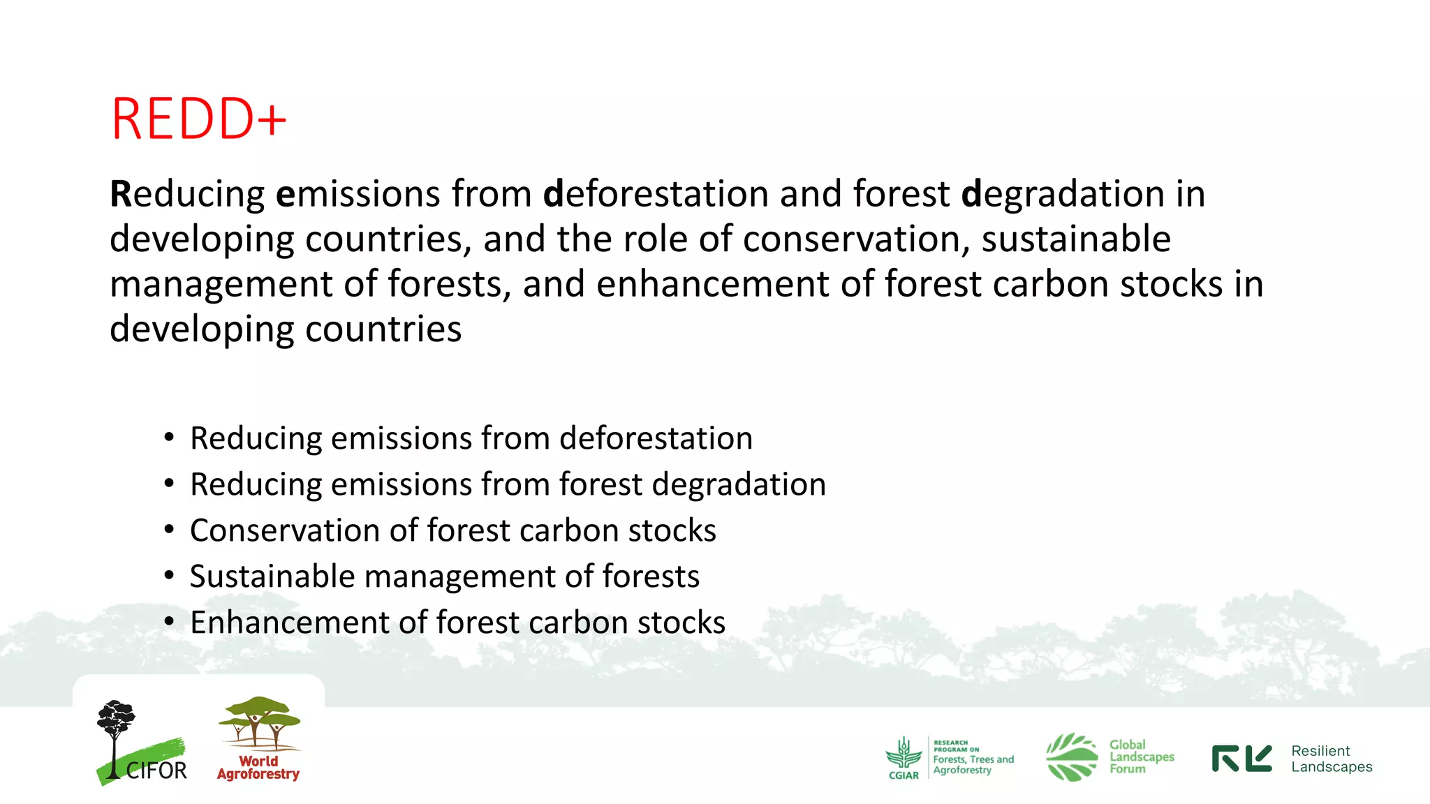 REDD+ and its implementation in Indonesia | PDF