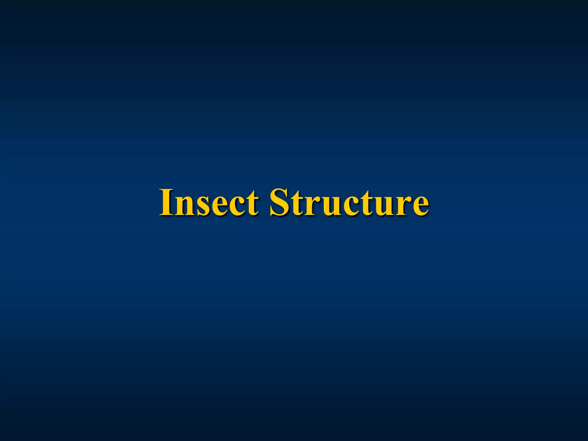 Insect structure | PPT
