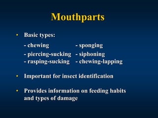 Insect structure | PPT