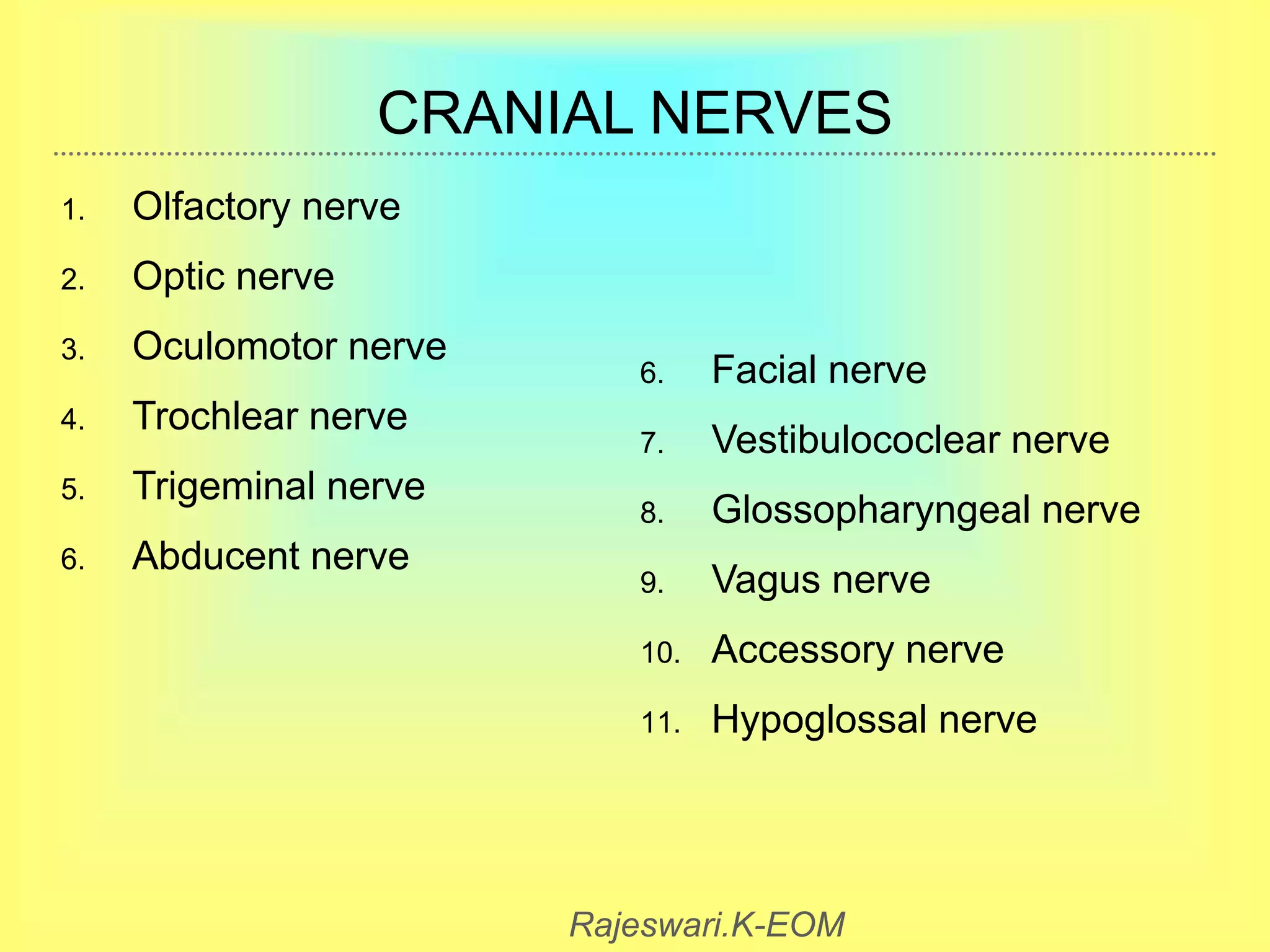 EXTRA OCULAR MUSCLES OF EYE | PPT