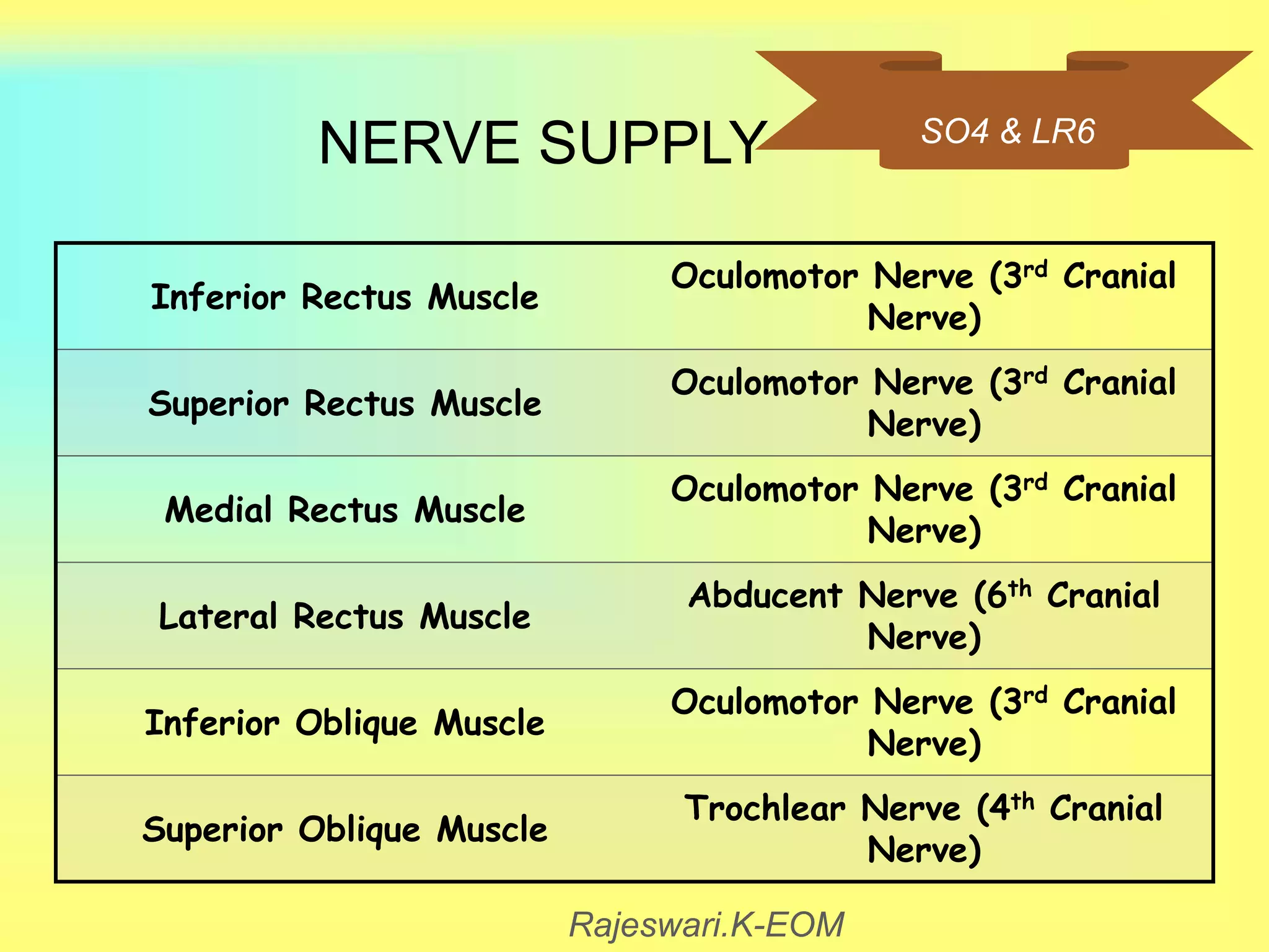 EXTRA OCULAR MUSCLES OF EYE | PPT