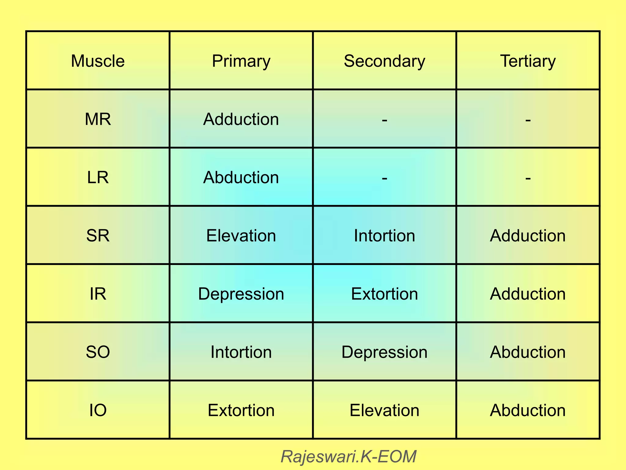 EXTRA OCULAR MUSCLES OF EYE | PPT