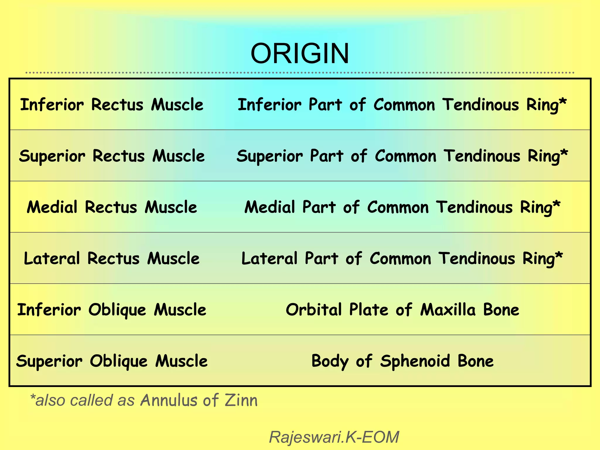 EXTRA OCULAR MUSCLES OF EYE | PPT