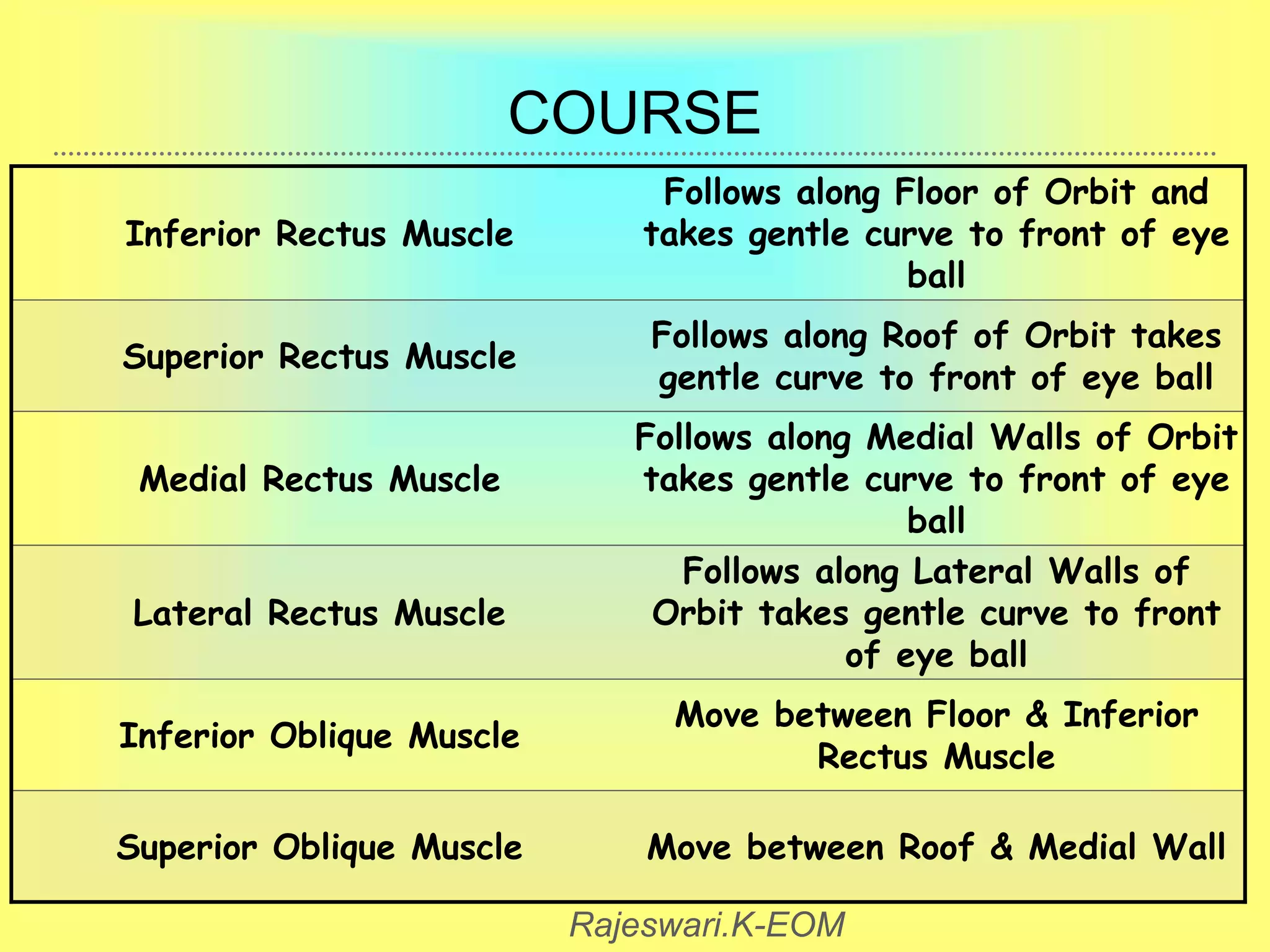 EXTRA OCULAR MUSCLES OF EYE | PPT
